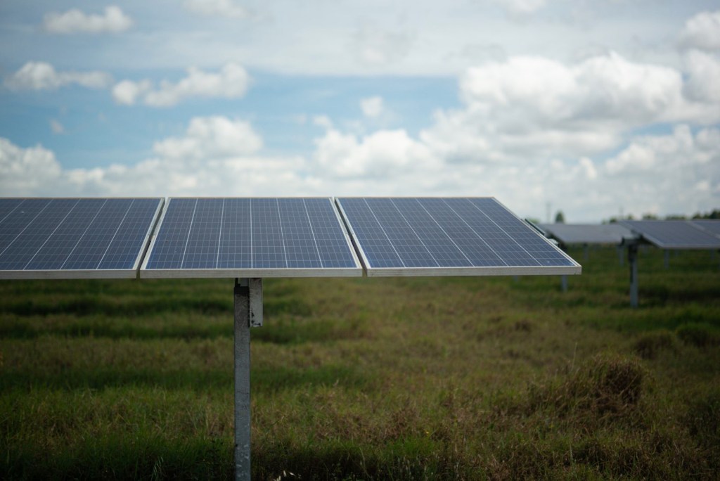 Gridless | Media Content